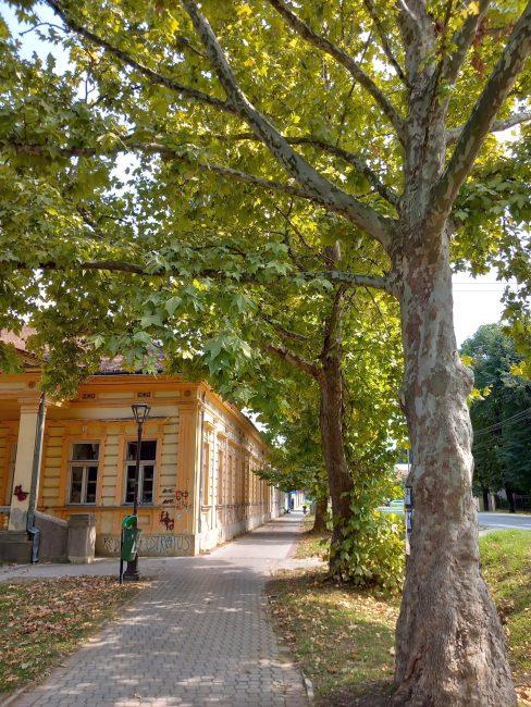 Omoljica - TAKO BLIZU, A TAKO DALEKO - Vojvođanski Magazin